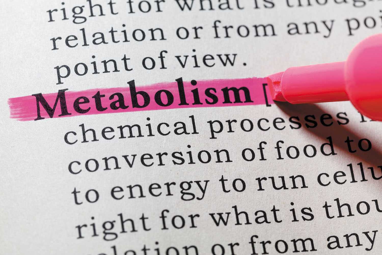 Fast and Slow Metabolism: Myths that Refuse to Die! - Dom Eats